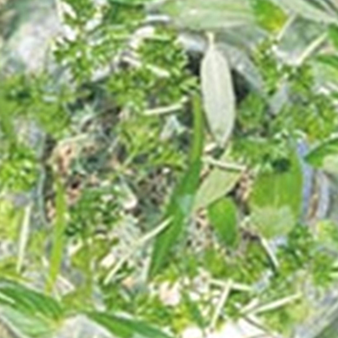 Green Essence – labo2020