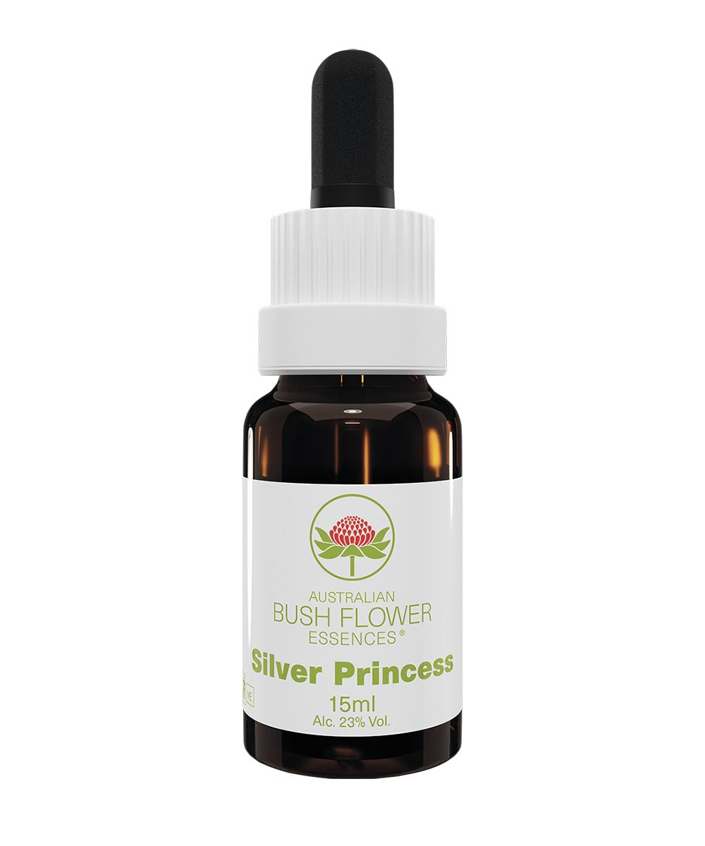 Silver Princess – labo2020